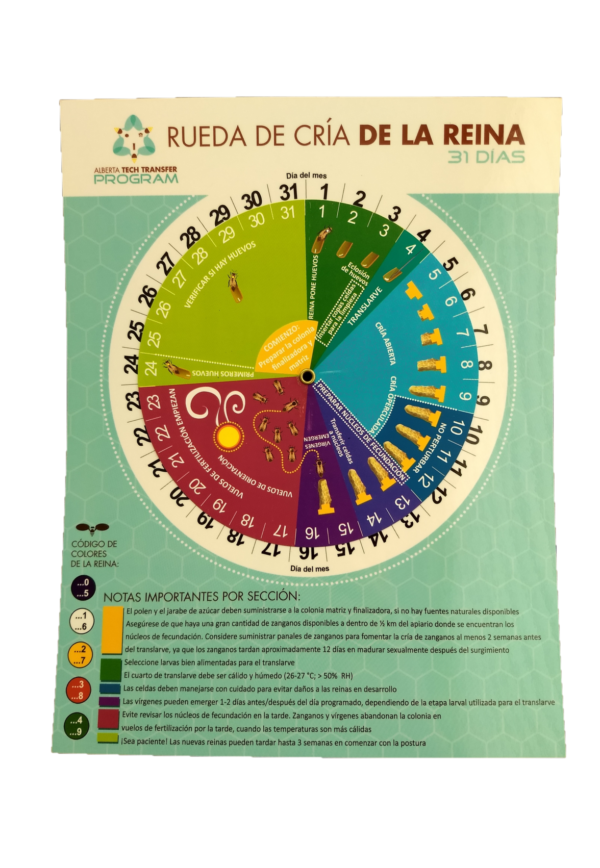 Queen Wheel - Spanish - Alberta Beekeepers Commission