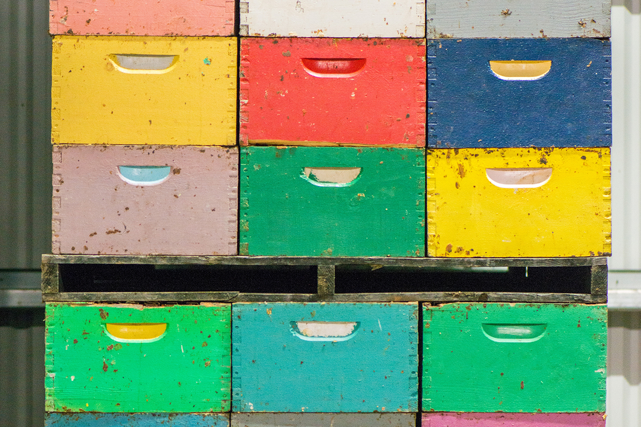 Tech Transfer Program - Alberta Beekeepers Commission