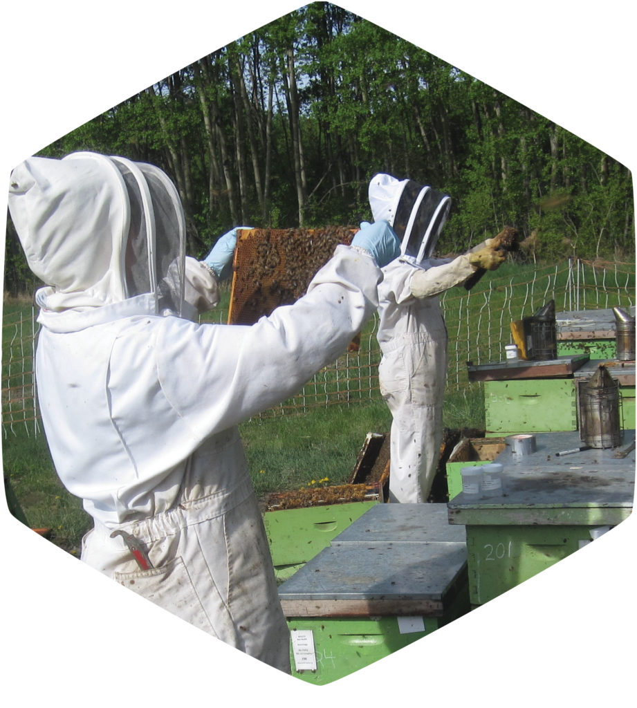 Colony Health Monitoring - Alberta Beekeepers Commission