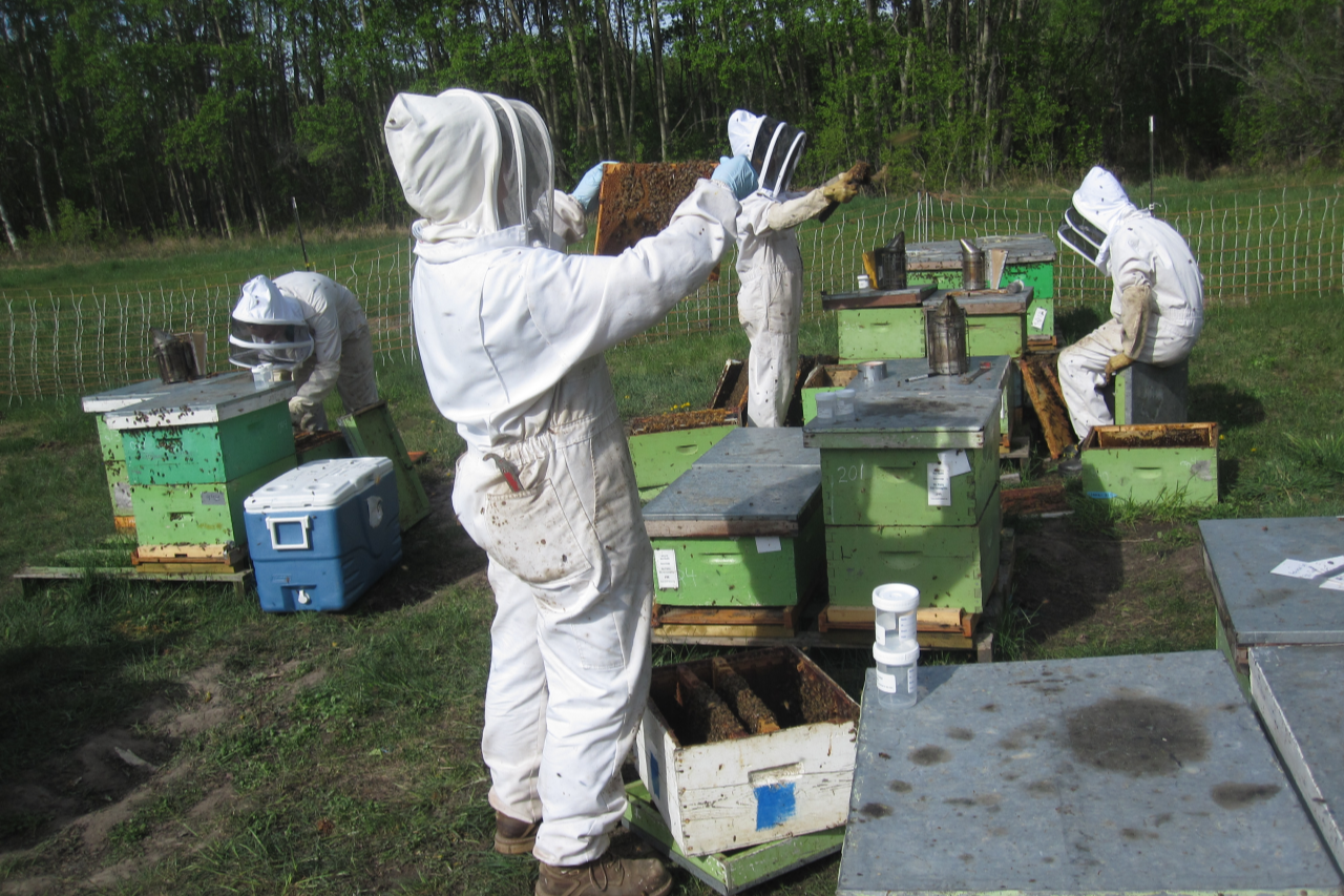 New Beekeeper Services - Alberta Beekeepers Commission