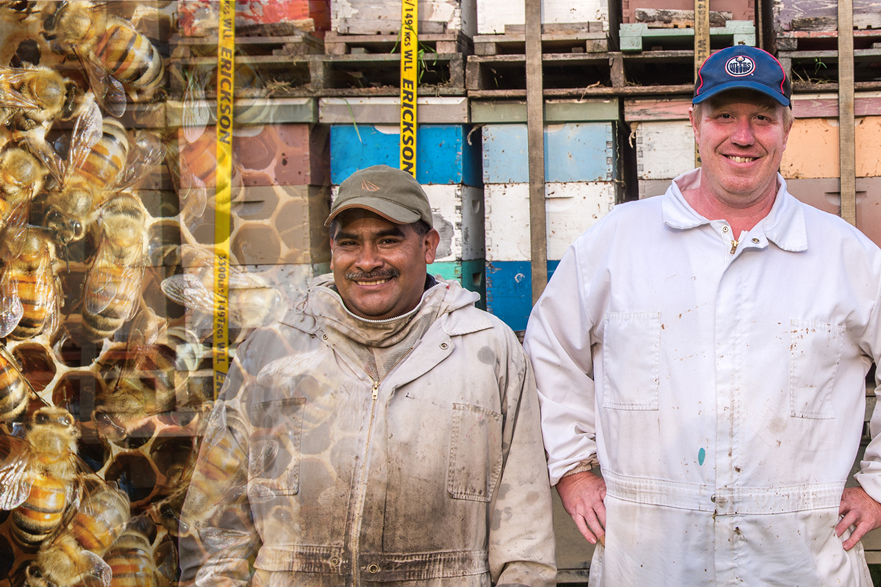 2021: Year of the Beekeeper - Alberta Beekeepers Commission