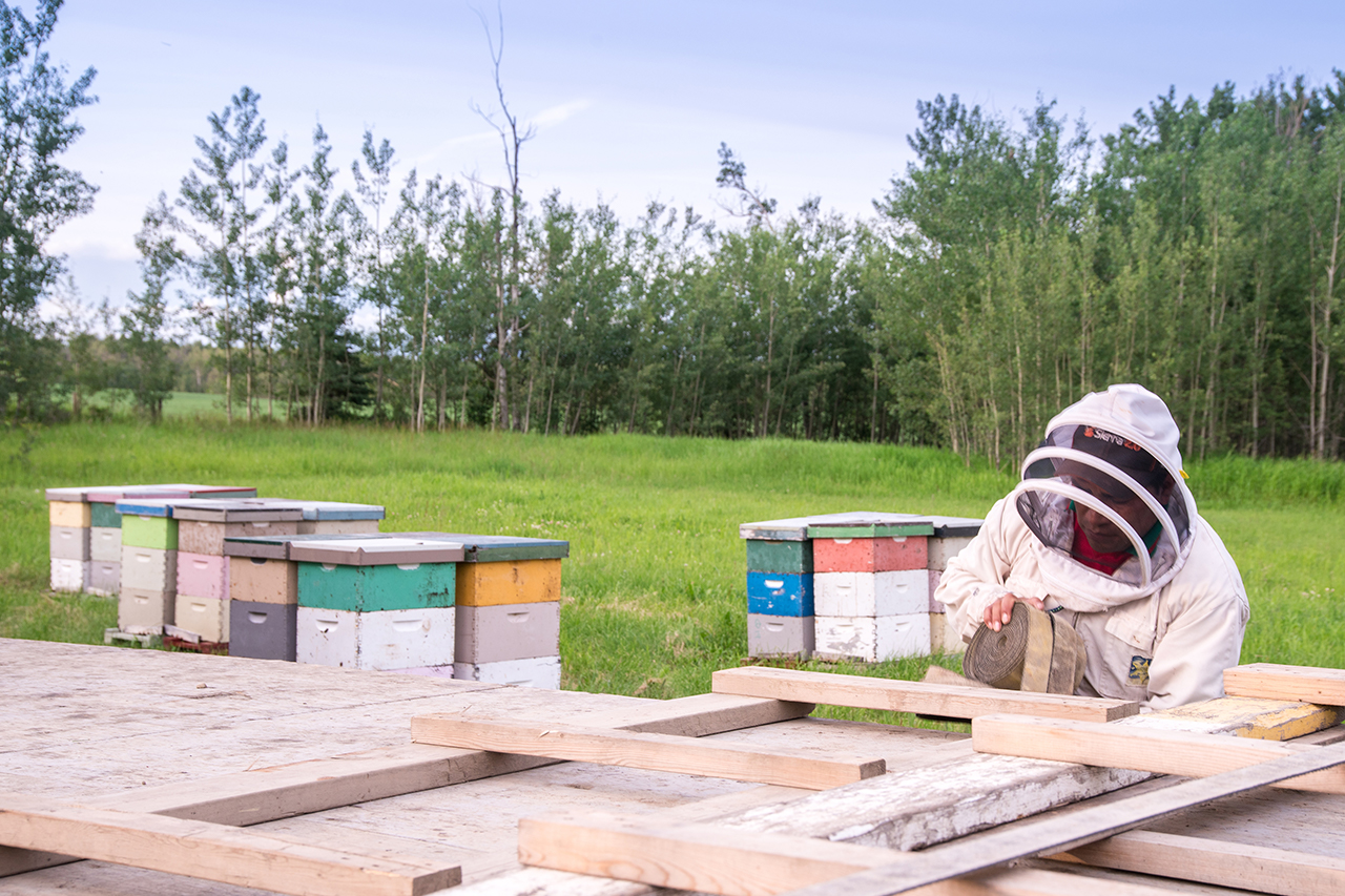 Labour - Alberta Beekeepers Commission
