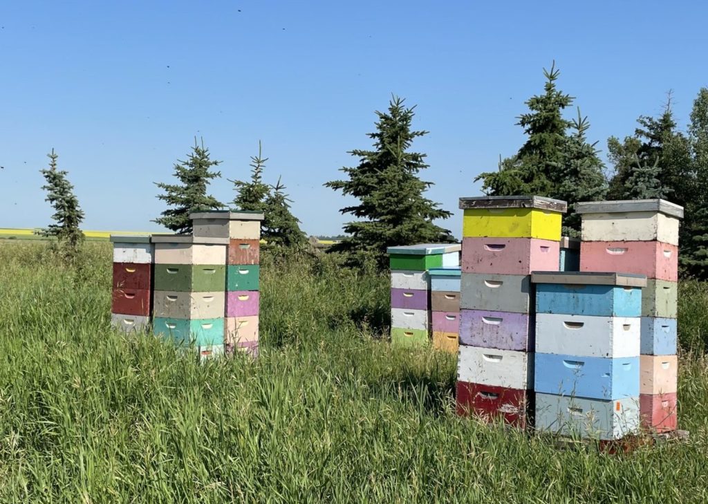 Tech Transfer Program - Alberta Beekeepers Commission