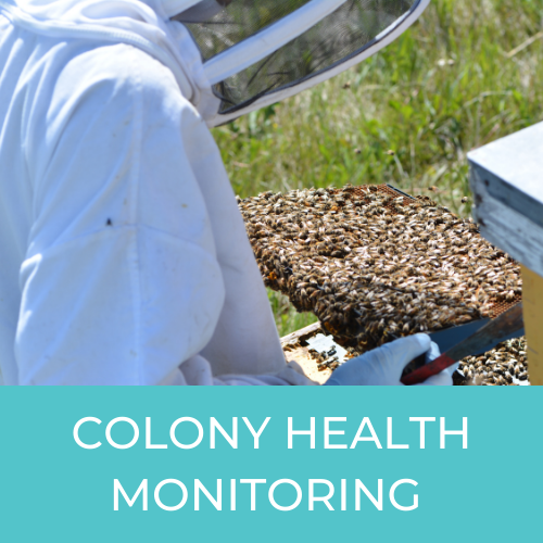 Services to Beekeepers - Alberta Beekeepers Commission