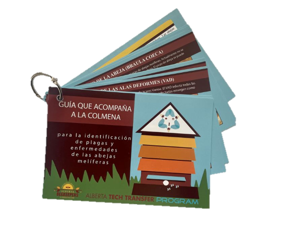 Hive Side Guide Spanish Alberta Beekeepers Commission
