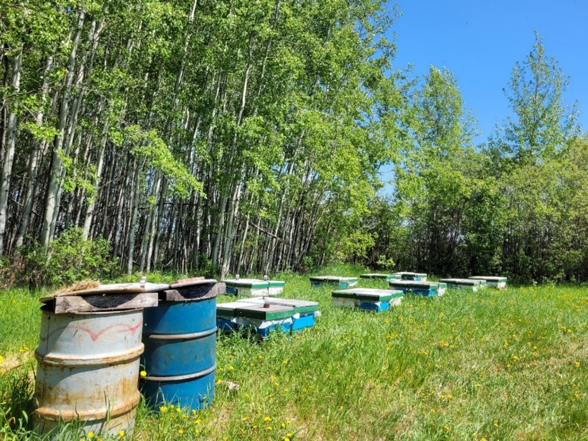 BRM Programs & the Environmental Farm Plan - Alberta Beekeepers Commission
