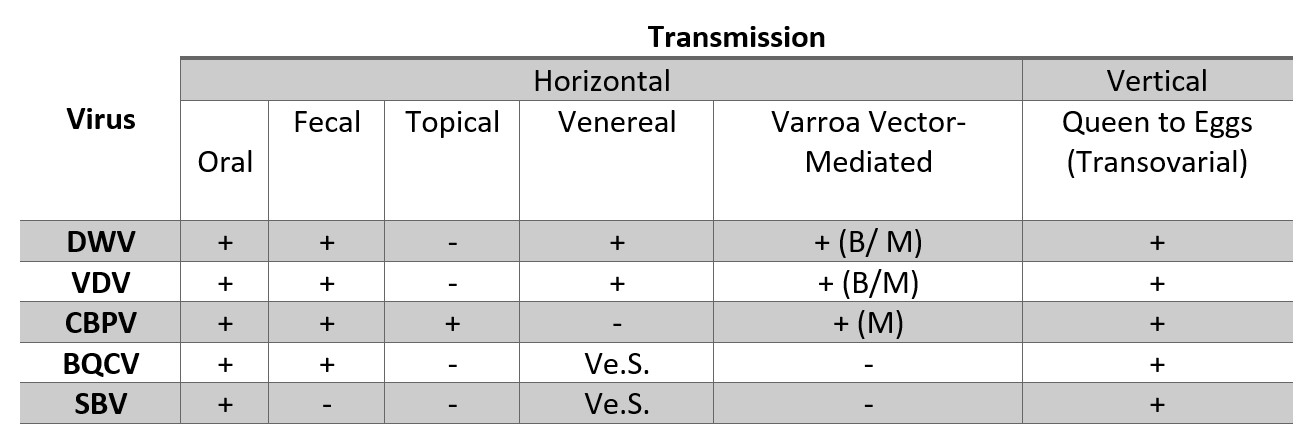 Identifying Viral Pathways of Transmission - Part 2 - Alberta ...