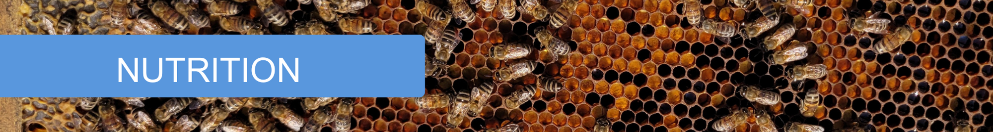 Bee Health - Alberta Beekeepers Commission